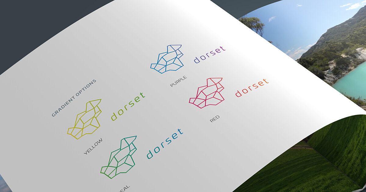 Dorset Council | S. Group