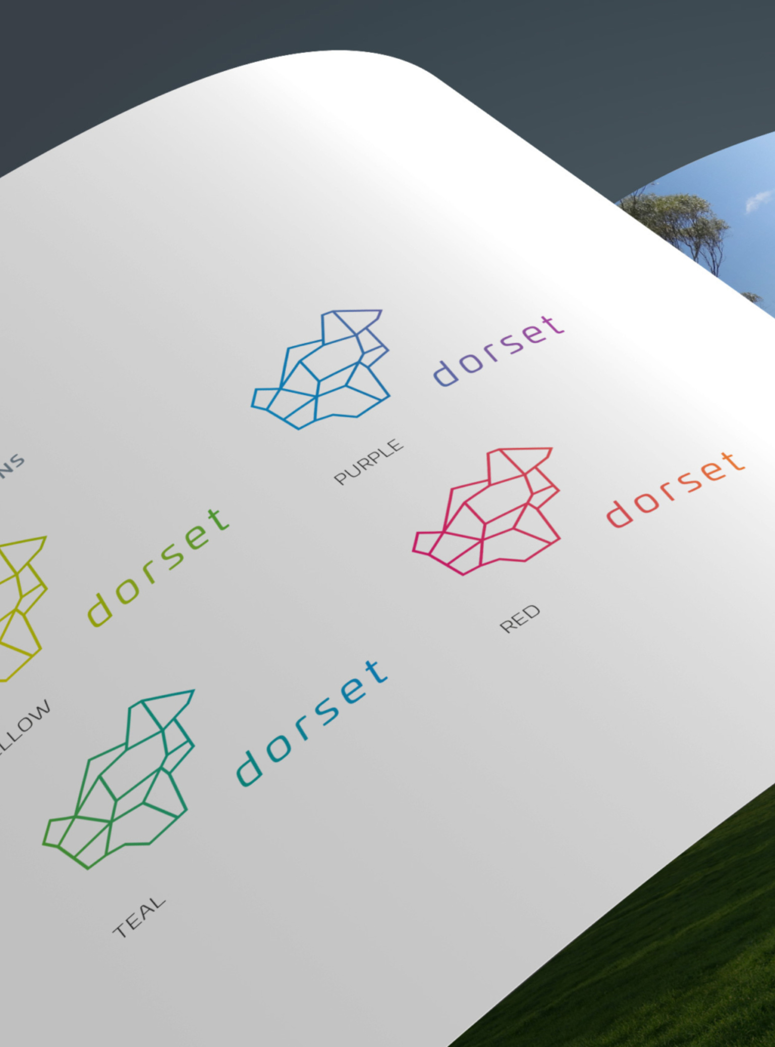 Dorset Council | S. Group