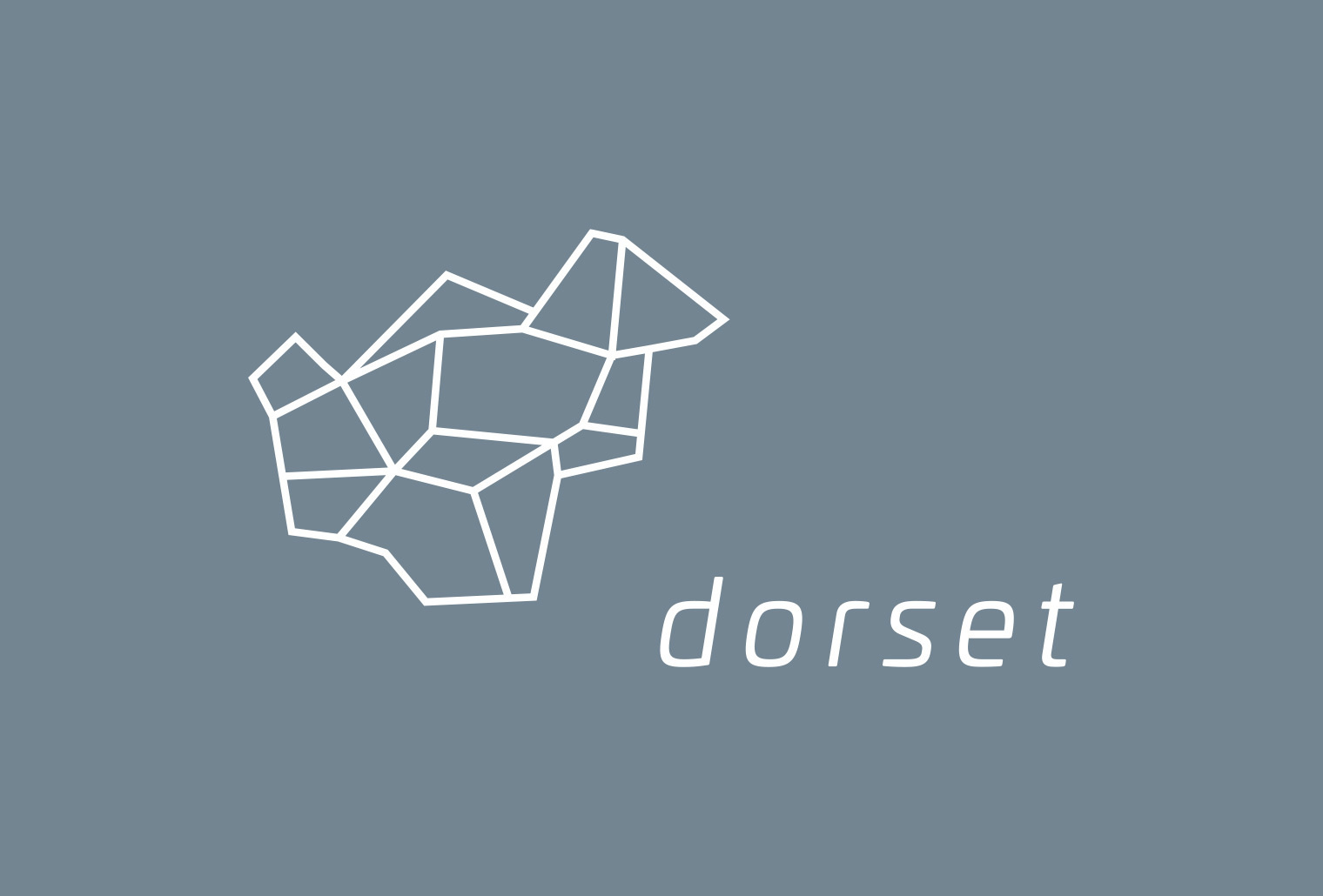 Dorset Council | S. Group